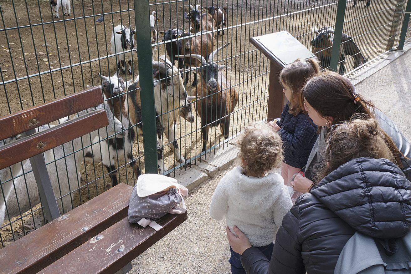 le parc des sports et des loisirs - Mairie de Bompas