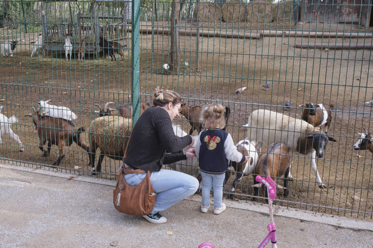 le parc des sports et des loisirs - Mairie de Bompas